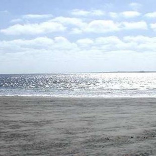 Sail Buggy – https://www.popeyethewelder.com