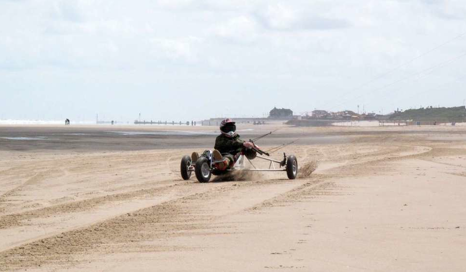 Cheetah-01 – https://www.popeyethewelder.com