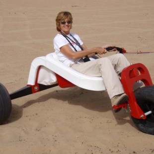 Composite Buggies – https://www.popeyethewelder.com