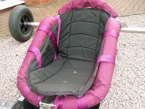 cougar-cub-04 – https://www.popeyethewelder.com